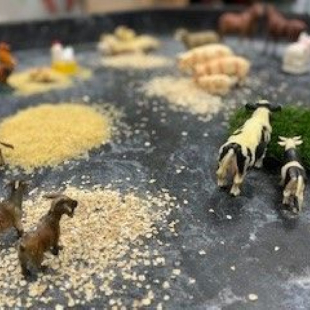 The Chelsea Nursery - Farm-Themed Exploration